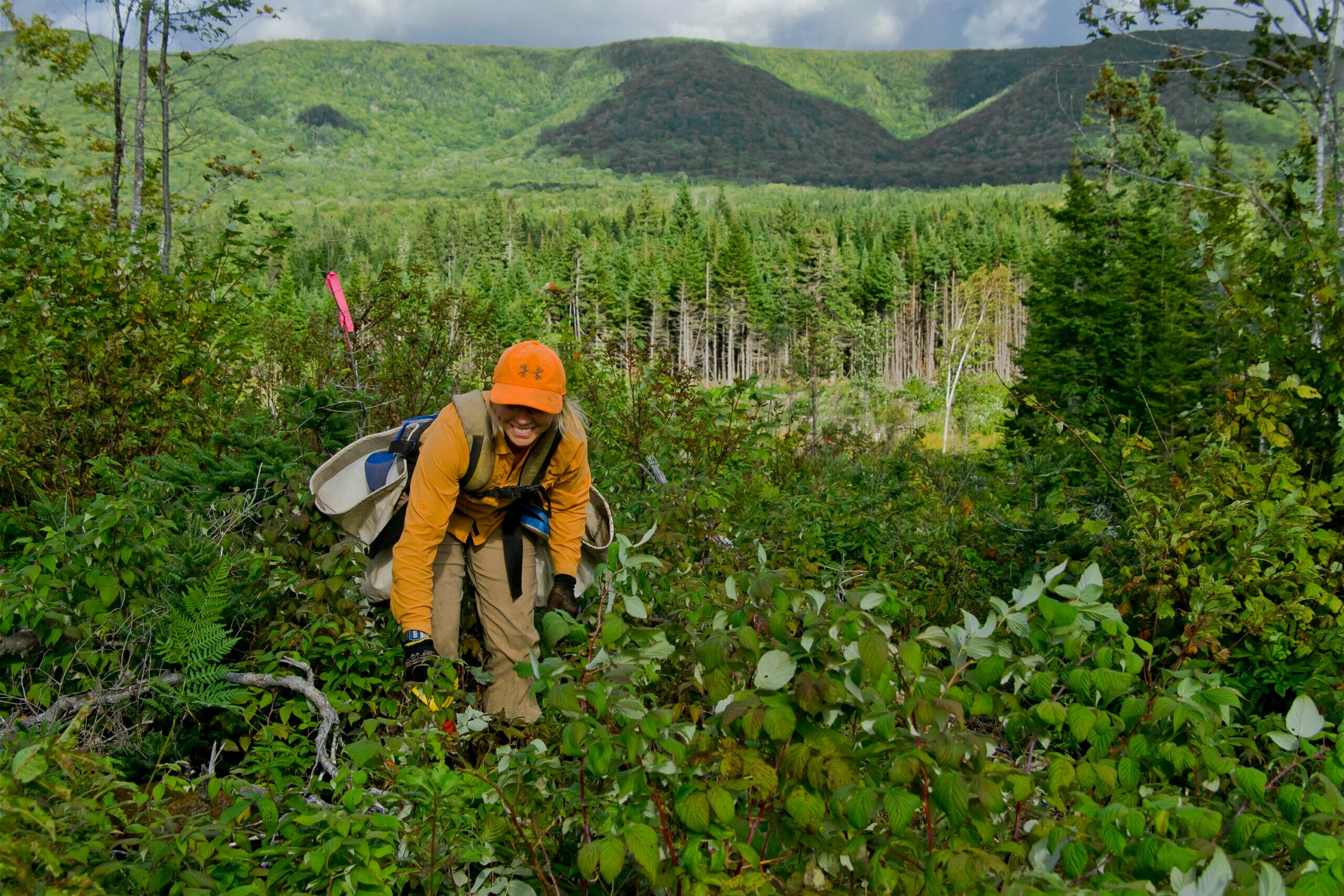 Become An Ambassador - Community Forests International