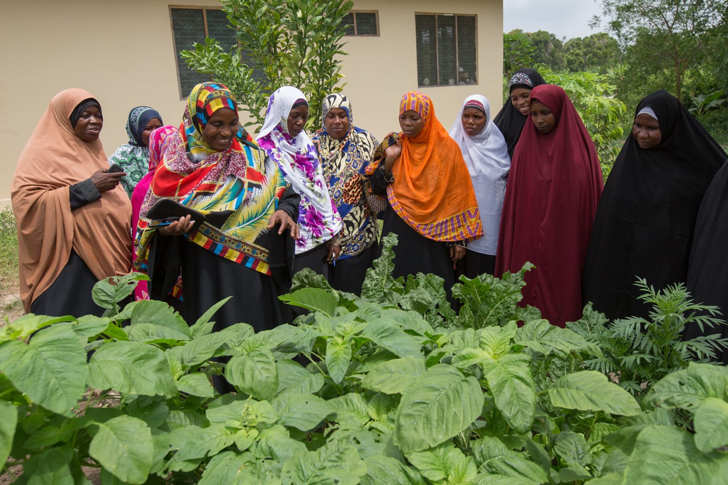 Climate Adaptation - Community Forests International